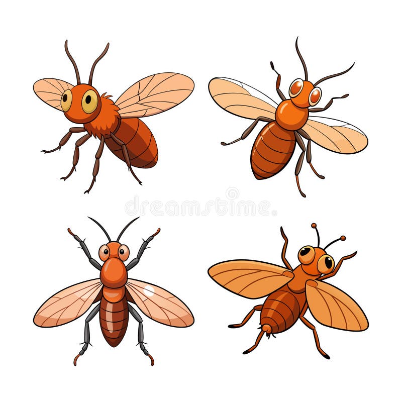 Realistic Rust Fly Colorful Illustration Stock Vector - Illustration of ...