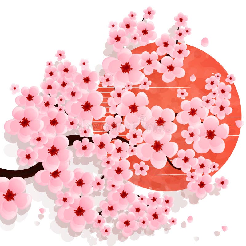 Realistic Sakura Japan Cherry Branch Stock Vector - Illustration of ...