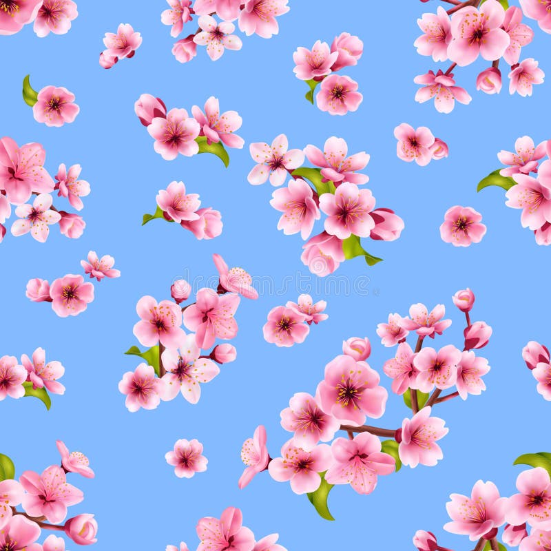 Macrovector - Photographer profile