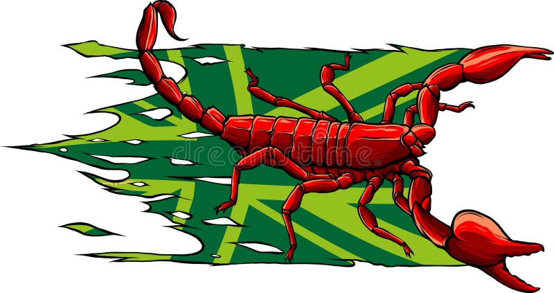 Draw Colored Animal Scorpion Vector Illustration Design Stock Vector ...