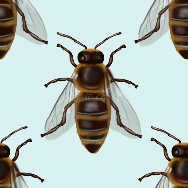 Realistic Seamless Pattern of Honey Bees. Watercolor Background of Bees ...