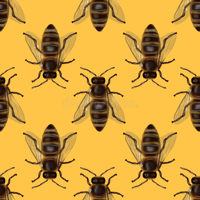 Realistic Seamless Pattern of Honey Bees. Watercolor Background of Bees ... Realistic Seamless Pattern of Honey Bees. Watercolor Background of Bees ...
