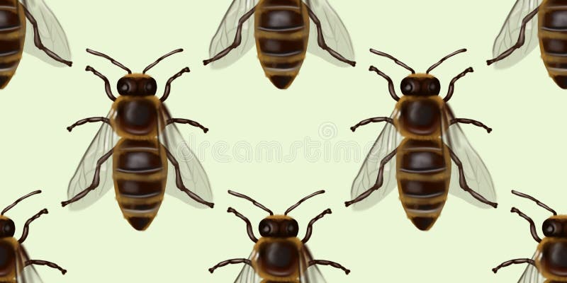 Realistic Seamless Pattern of Honey Bees. Watercolor Background of Bees ... Realistic Seamless Pattern of Honey Bees. Watercolor Background of Bees ...