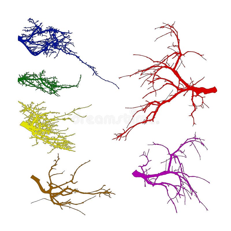 Realistic Set of Tree Branches Silhouette Vector Illustration.Different ...