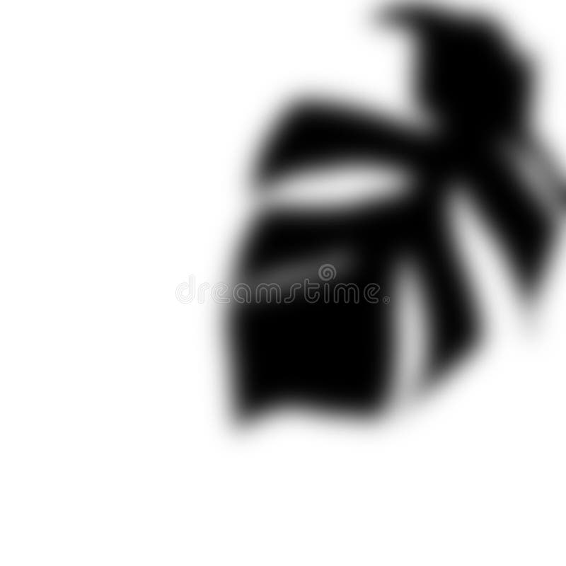 Realistic Shadow from a Monstera. Black Shadow from the Leaves of the ...