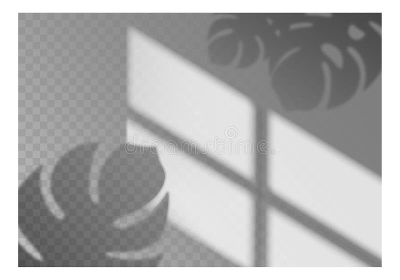 Realistic Shadow Overlay. Monstera Leaves and Window Shadows on Wall ... Realistic Shadow Overlay. Monstera Leaves and Window Shadows on Wall ...