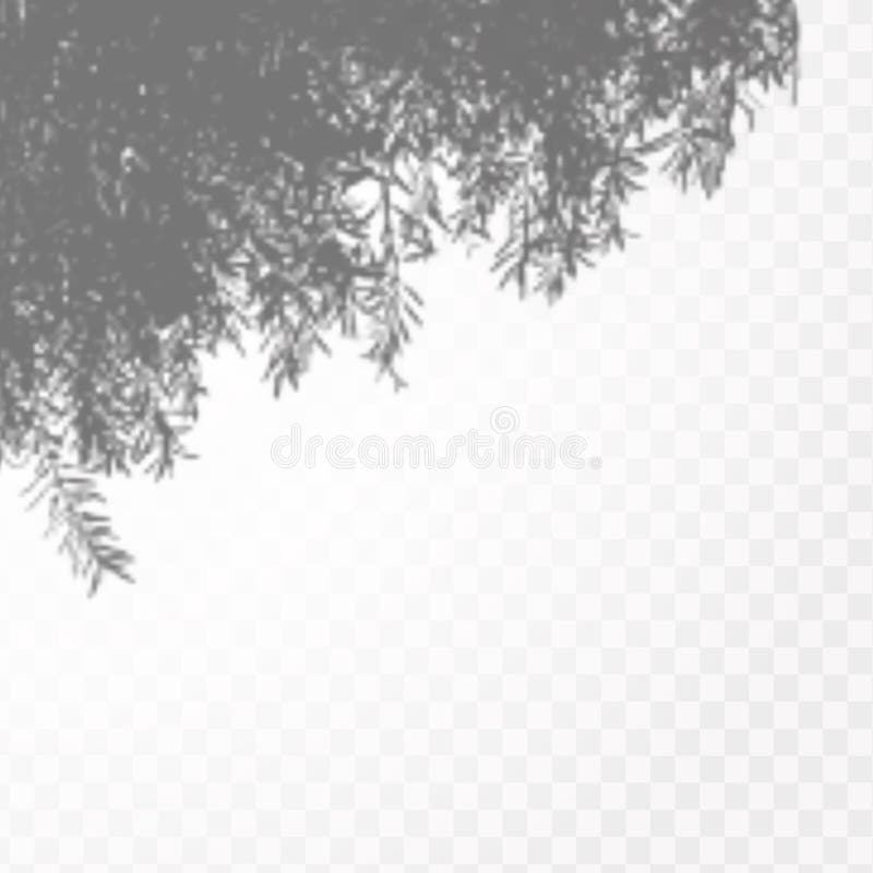 Realistic Shadow Tropical Leaves and Branches on Transparent Checkered ... Realistic Shadow Tropical Leaves and Branches on Transparent Checkered ...