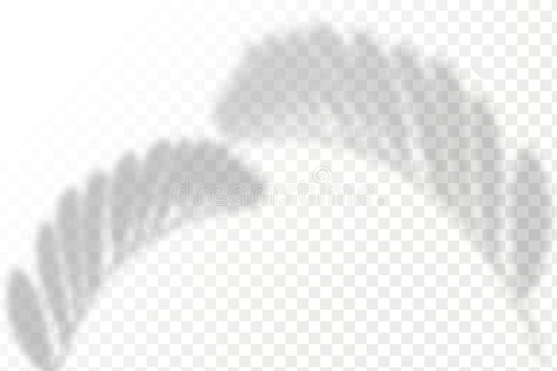 Realistic Shadow Tropical Leaves and Branches on Transparent Checkered ...