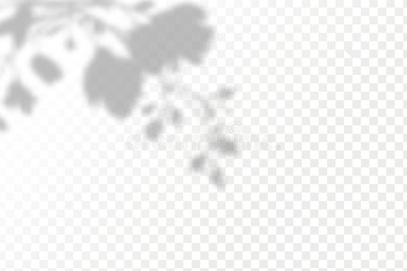 Realistic Shadow Tropical Leaves and Branches on Transparent Checkered ...