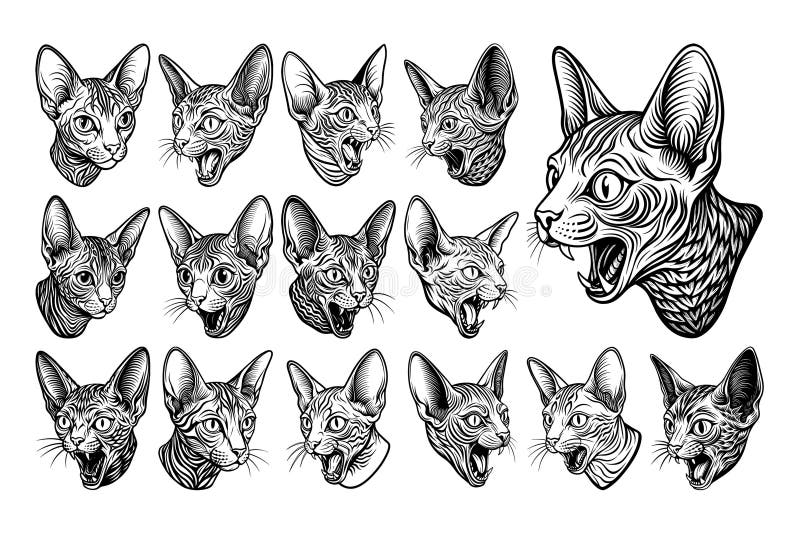 Realistic Side View Devon Rex Cat Face Portrait Illustration Design Set ...