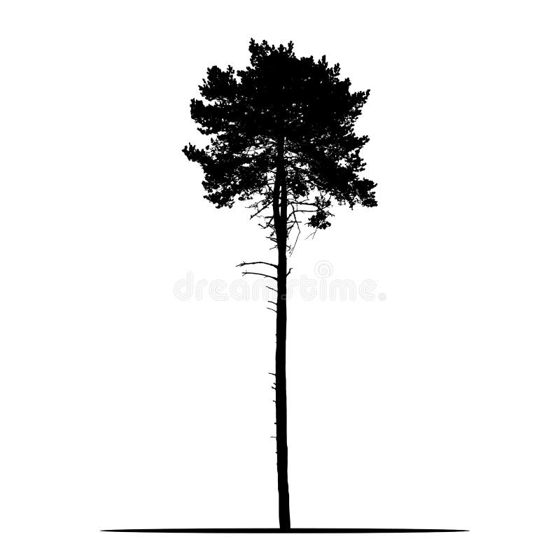 Half Tree Silhouette Stock Illustrations – 770 Half Tree Silhouette ...