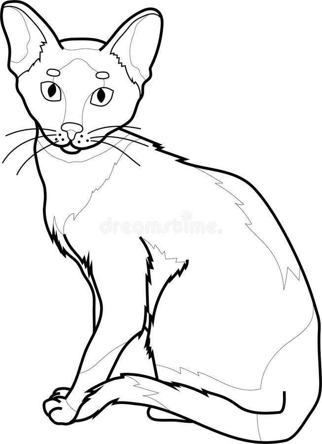 Realistic Cat Sitting Drawing, Front and Side View in Black Isolated on ...