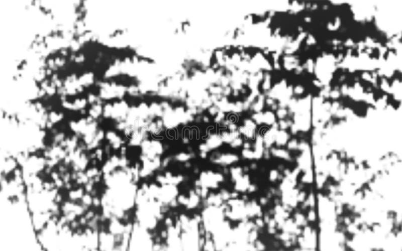 Realistic Soft Shadow of Bushes Stock Vector - Illustration of abstract ...