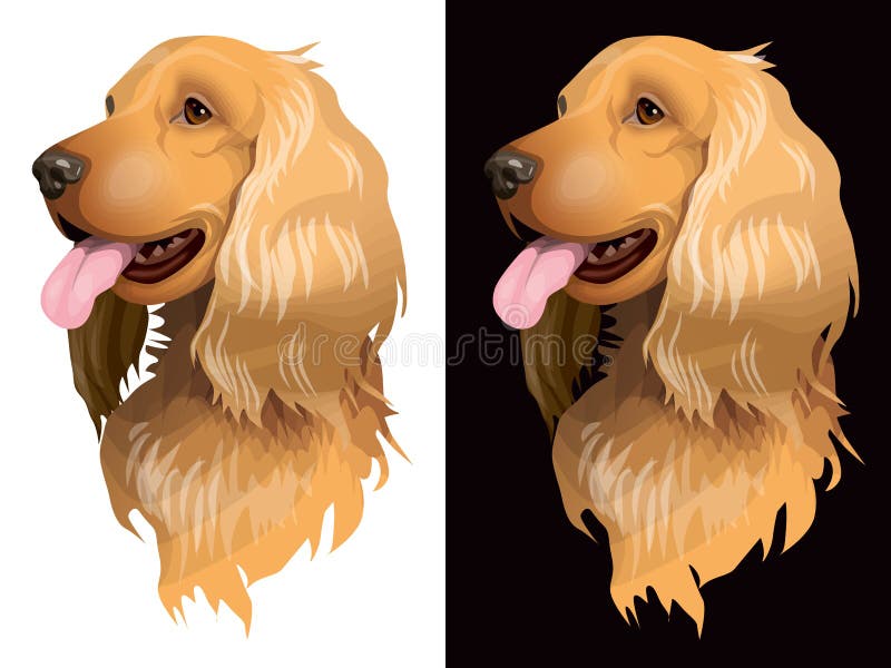Realistic Spaniel Dog Vector Illustration. Beautiful Cocker Spaniel ...