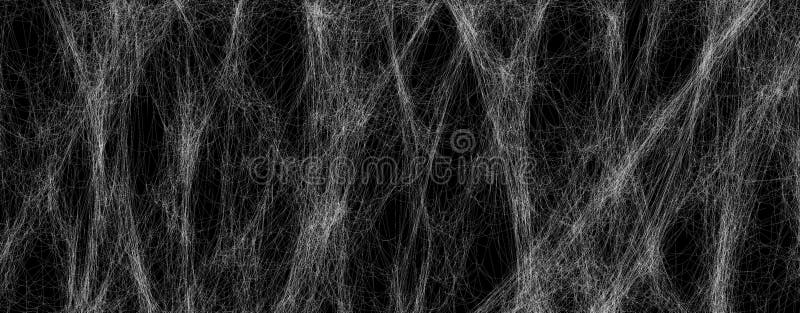 Realistic Spider Web Background Texture. Hanging Cobweb for Halloween ...