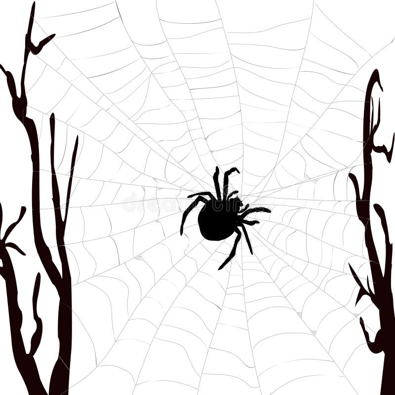 Realistic Spider Web with Spider Stock Vector - Illustration of life ...