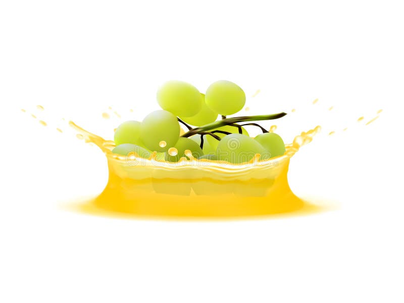 Realistic Splash of Juice with Sprig of Grapes. Vector Icon Stock ...