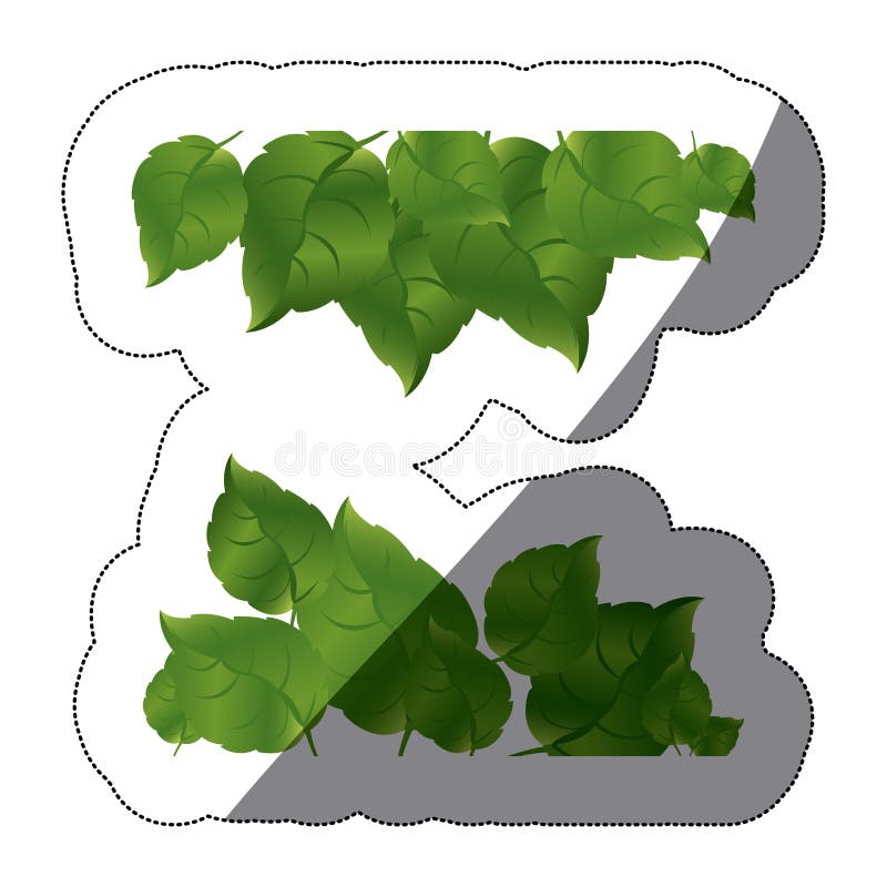 Realistic Sticker Set of Green Leaves Two Rows and Middle Shadow Stock ...