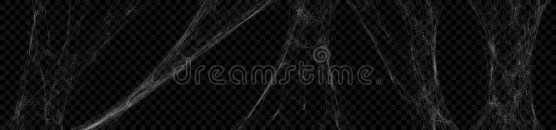 Realistic Stretched Spider Web Set. Vector Cobweb Illustration for ...