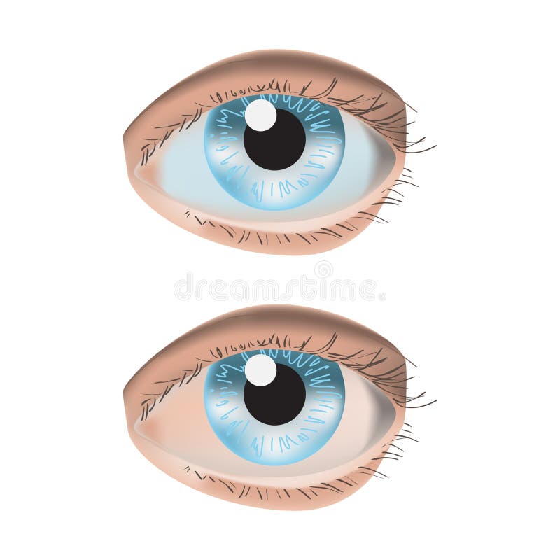 Realistic Style Vector Illustration with 2 Eyes on White Background ...