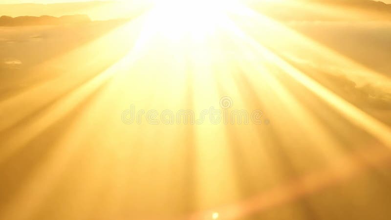 Realistic Sun Rays Shining through Trees at Dawn in a Serene Forest ...
