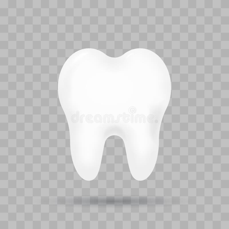 Realistic Tooth Illustration. Dental Care and Tooth Restoration Stock ...