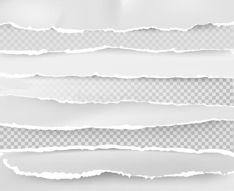 Realistic Torn Edge. White Blank Notepad Sheet Layout with Ripped Edges ...