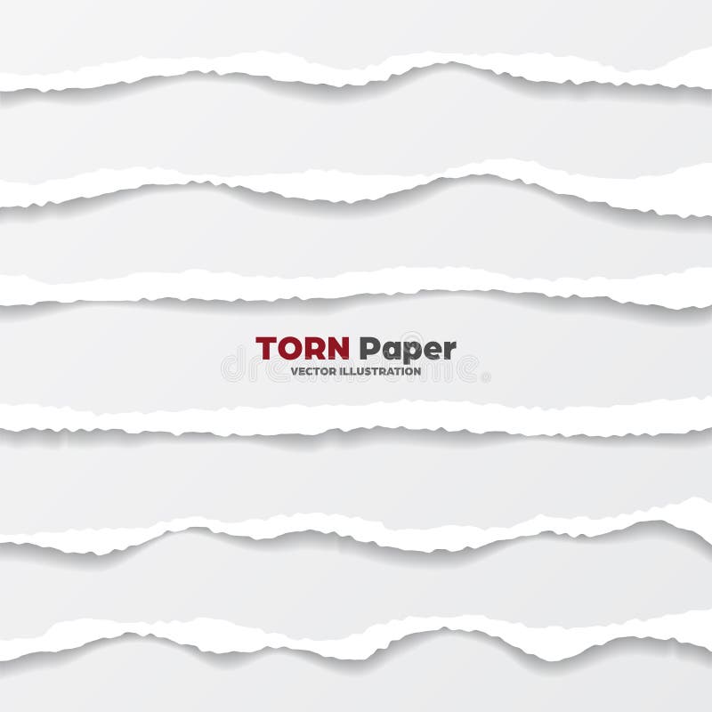 Realistic Torn Paper Edges Collection on Transparent Background. White ...