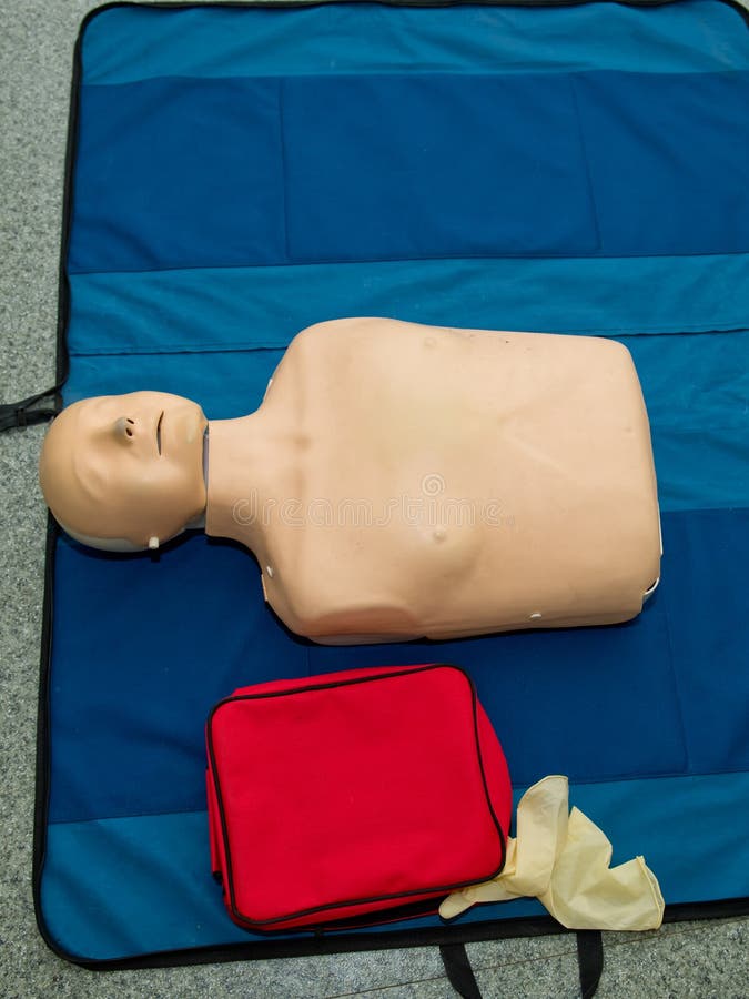 Realistic Training Simulator Dummy Mannequin Doll for Medical Procedure ...