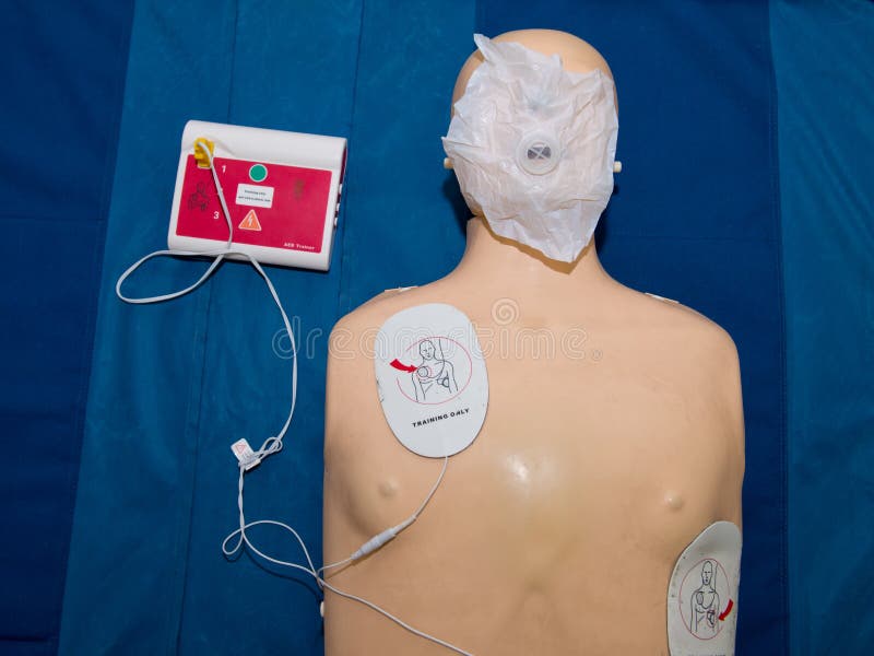 Realistic Training Simulator Dummy Mannequin Doll for Medical Procedure ...