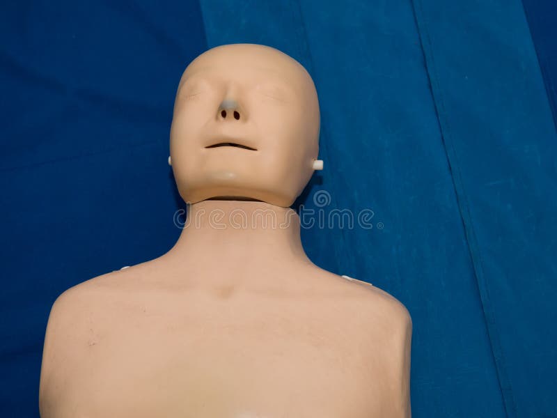Realistic Training Simulator Dummy Mannequin Doll for Medical Procedure ...