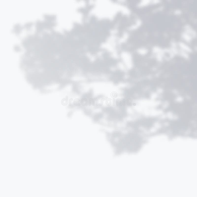 Realistic Transparent Overlay Blurred Shadow Stock Vector ...