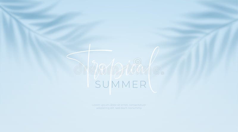 Realistic Fern Mockup Stock Illustrations – 215 Realistic Fern Mockup ...