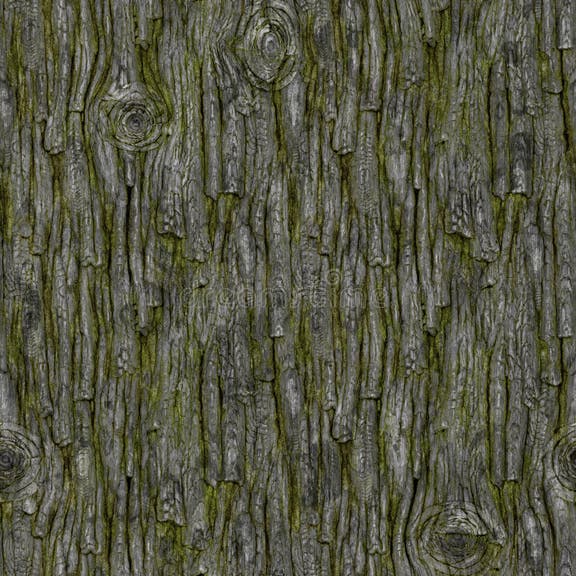 Realistic Tree Bark with Moss Seamless Rendered Texture Background ...