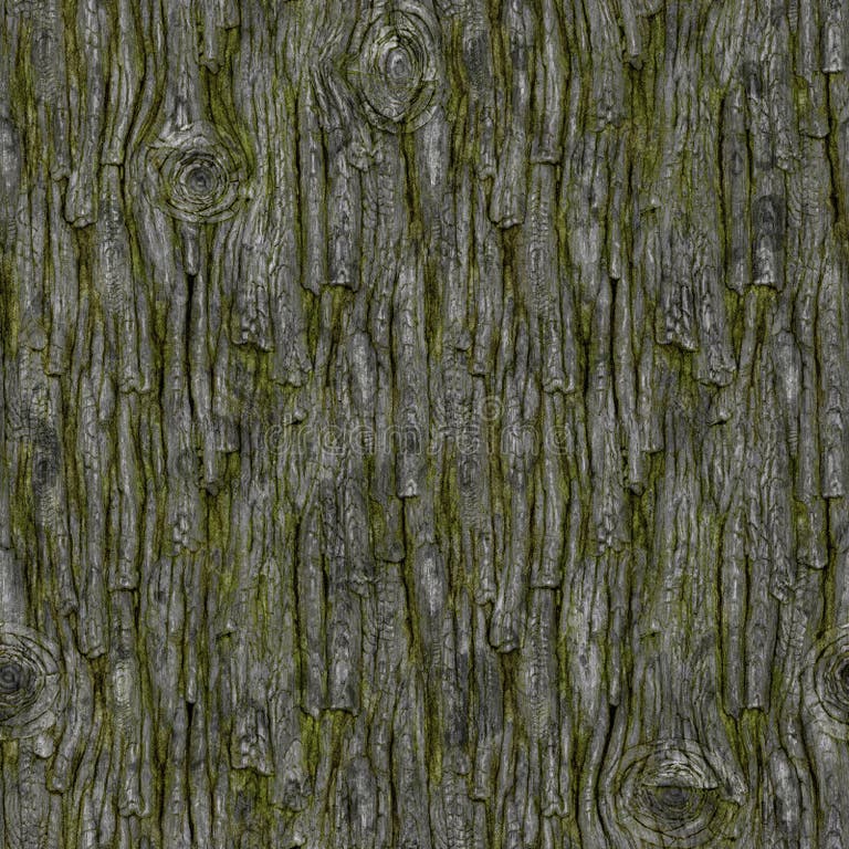 Realistic Tree Bark with Moss Seamless Rendered Texture Background ...