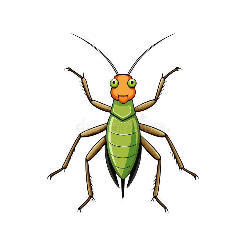 Realistic Tree Cricket Artwork Highlighting Its Features Stock Photo ...
