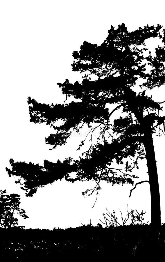 Realistic Tree Silhouette Vector Illustration.Eps10 Stock Illustration ...