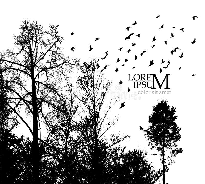 Realistic Tree Silhouette with Flying Birds. Winter Trees. Vector ...