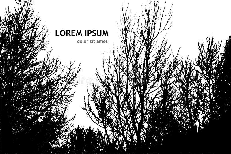 Realistic Tree Silhouette. Winter Trees. Vector Illustration Stock ...