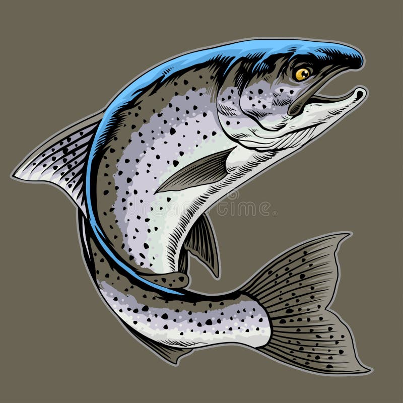 Realistic Trout Fish Hand Drawn Vintage Illustration Stock Vector ...