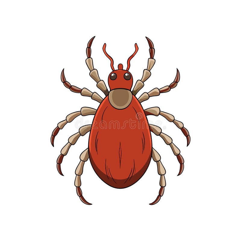Realistic Twospotted Mite Artwork Highlighting Its Features Stock ...