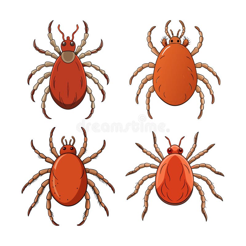 Realistic Twospotted Mite Artwork Highlighting Its Features Stock ...