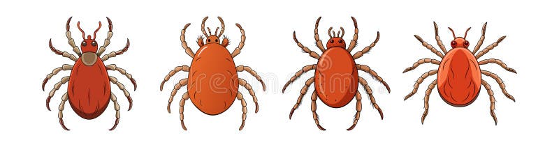 Realistic Twospotted Mite Artwork Highlighting Its Features Stock ...