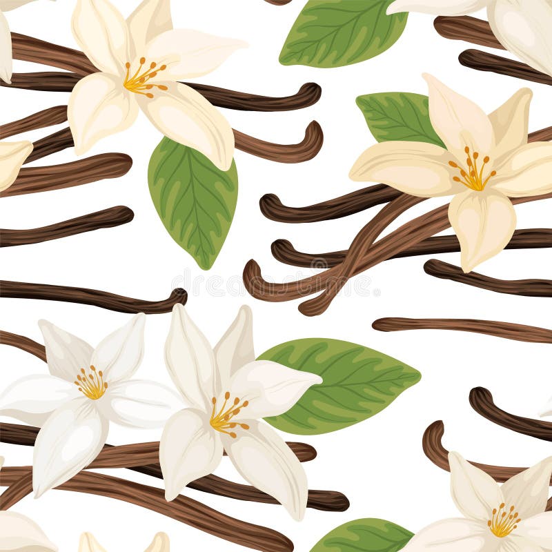 Realistic Vanilla Flower and Beans Seamless Pattern Stock Vector ...