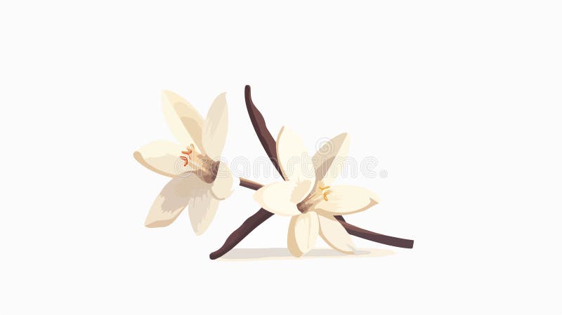 Realistic Vanilla Flower Vector Objects on White Background Stock ...