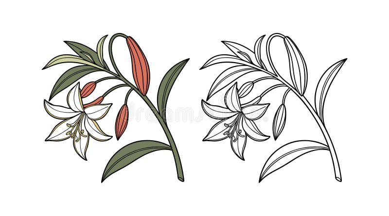 Realistic Vanilla Leaf Flower Displaying Bright Hues Stock Vector ...