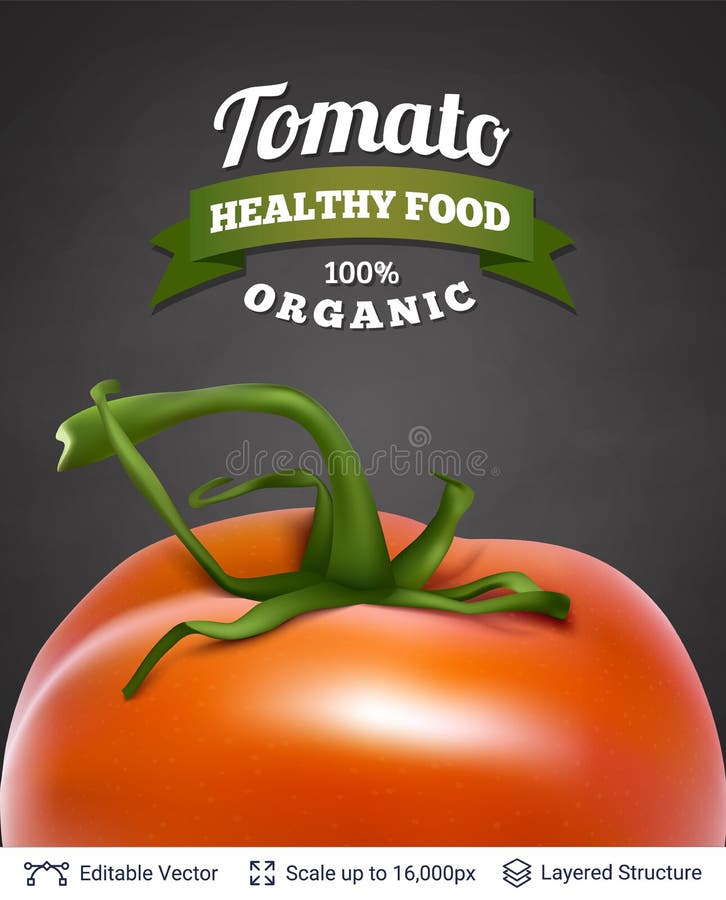 Tomato and text. stock vector. Illustration of diet - 100653997