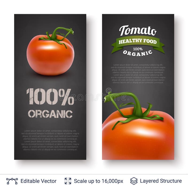 Tomato Text Logo. Lettering of Vegetables. Letters and Slice Stock ...