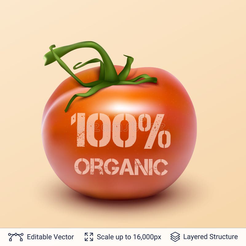 Tomato Text Logo. Lettering of Vegetables. Letters and Slice Stock ...