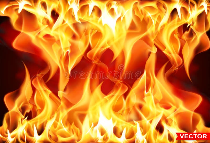 Realistic Vector Burning Fire Flame Bright Element Stock Vector ...